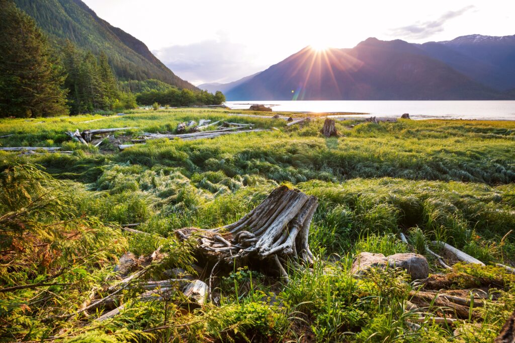 Bella Coola - Enchanting Travels